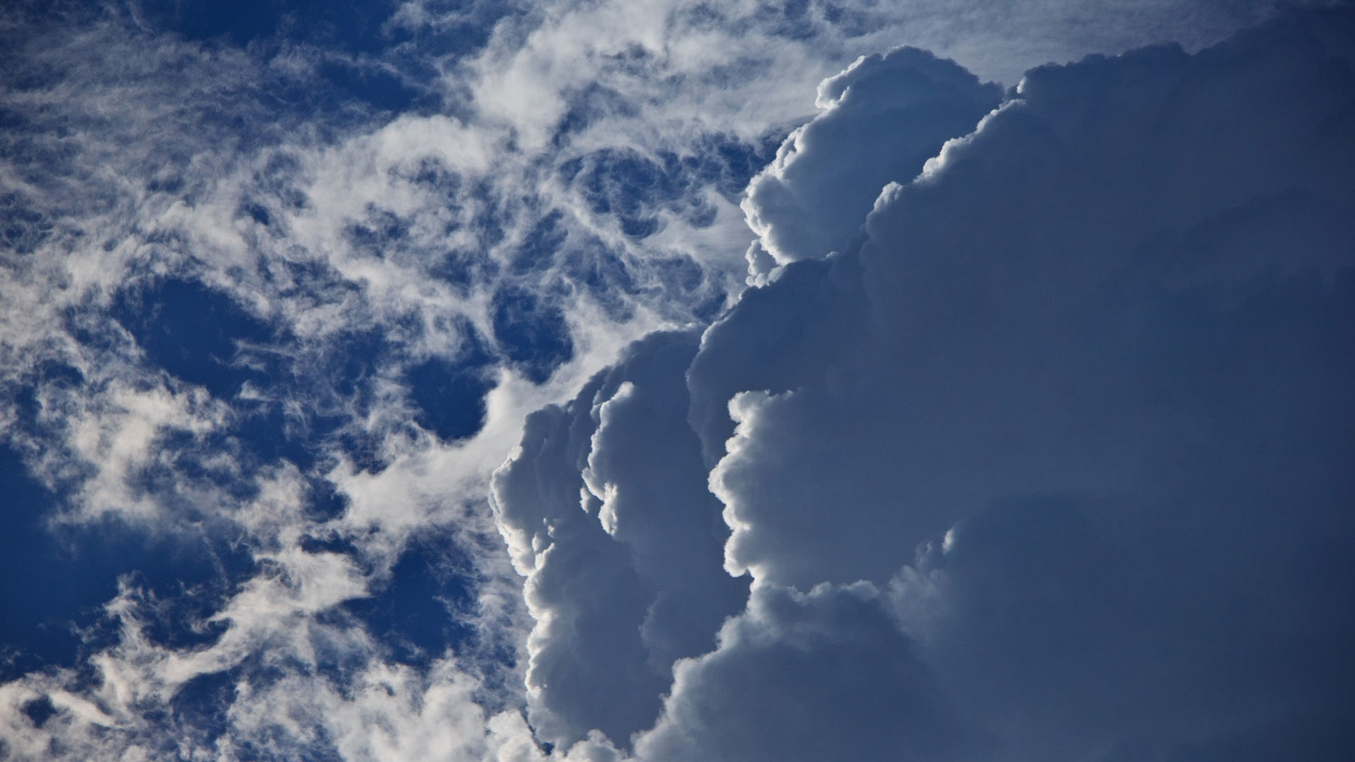 Cloud computing ecco cos'è e come funziona: le ultime novità